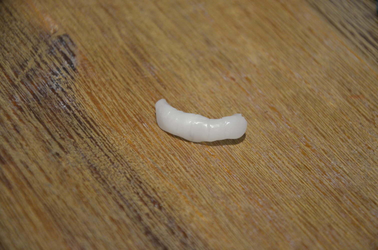 Tutorial : Crafting fake teeth – Black Owl Studio