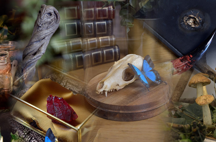 Tutorial Crafting Fake Teeth Black Owl Studio